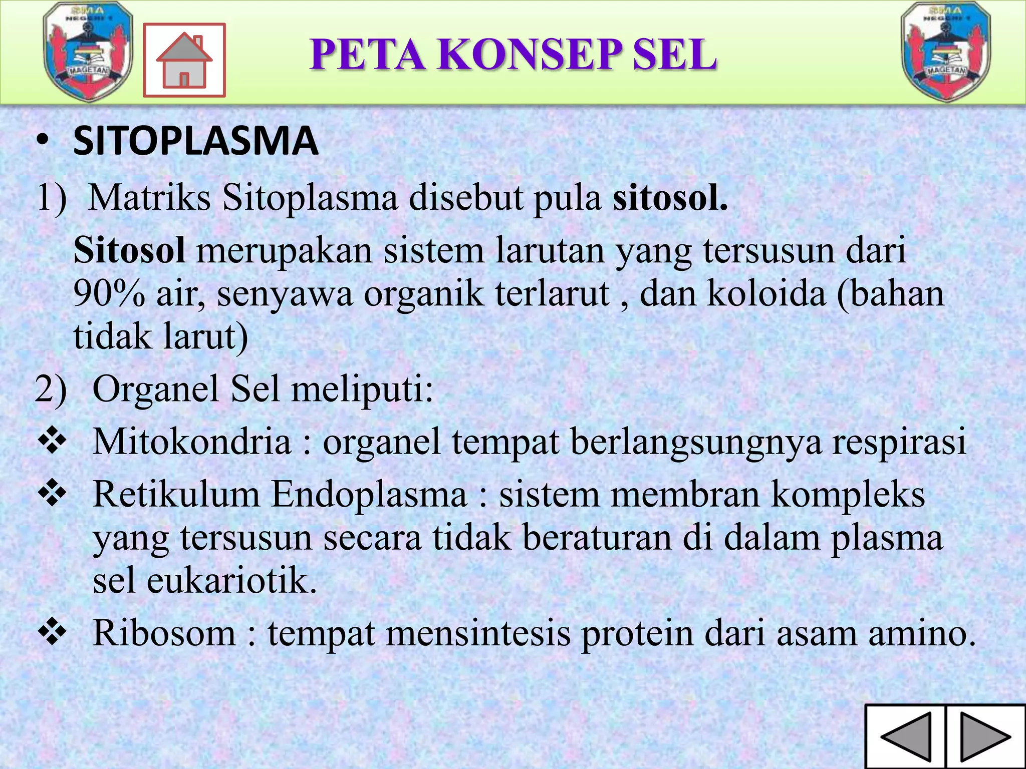Peta konsep sel 2 | PPTX