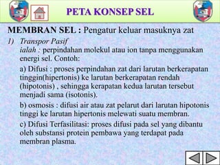 Peta konsep sel 2 | PPTX