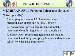 Peta konsep sel 2 | PPTX
