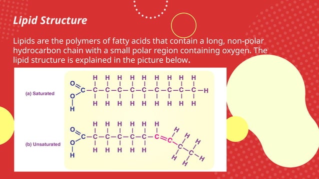 Petalbo, Elvin E. (LIPIDS Powerpoint PPT | PPT