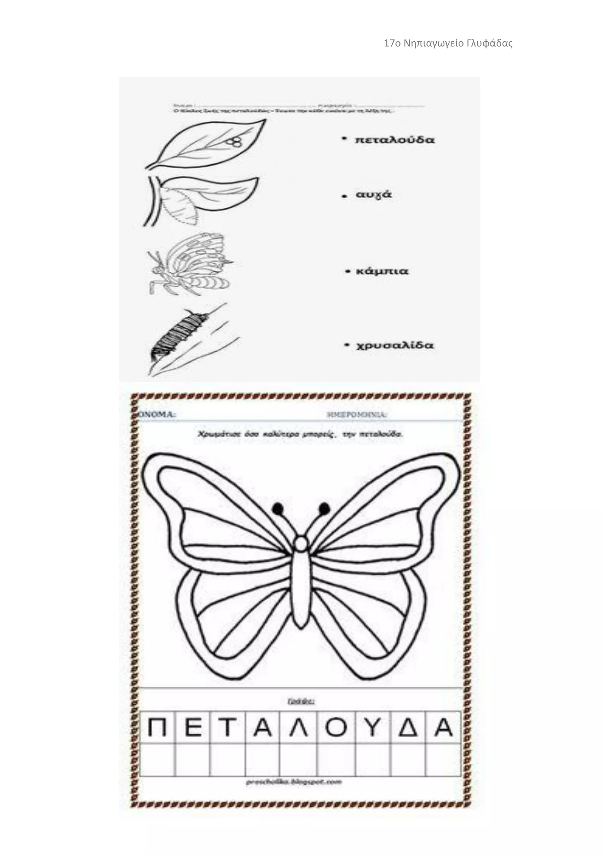 Petaloyda | PDF
