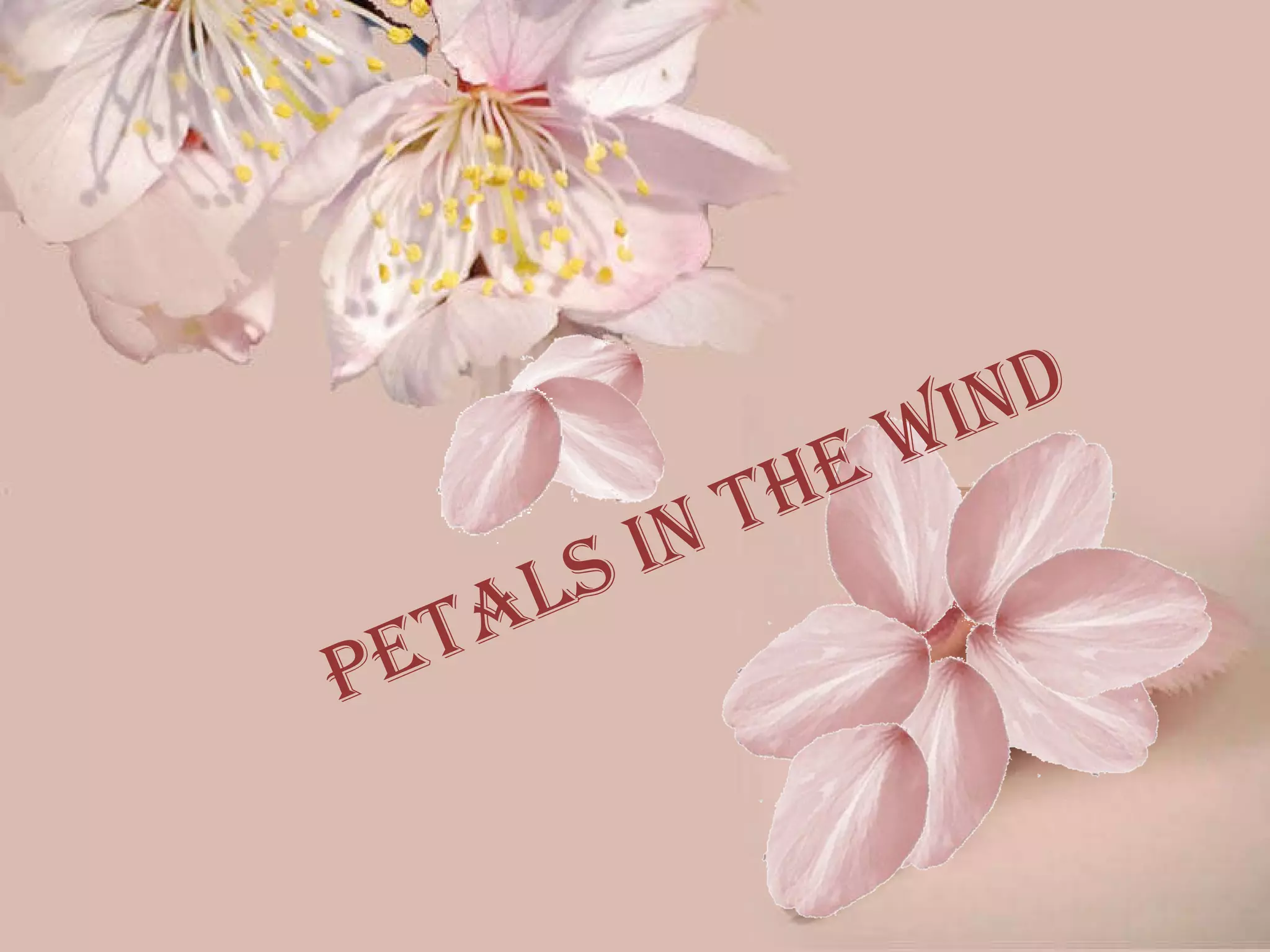 Petals In The Wind Pps