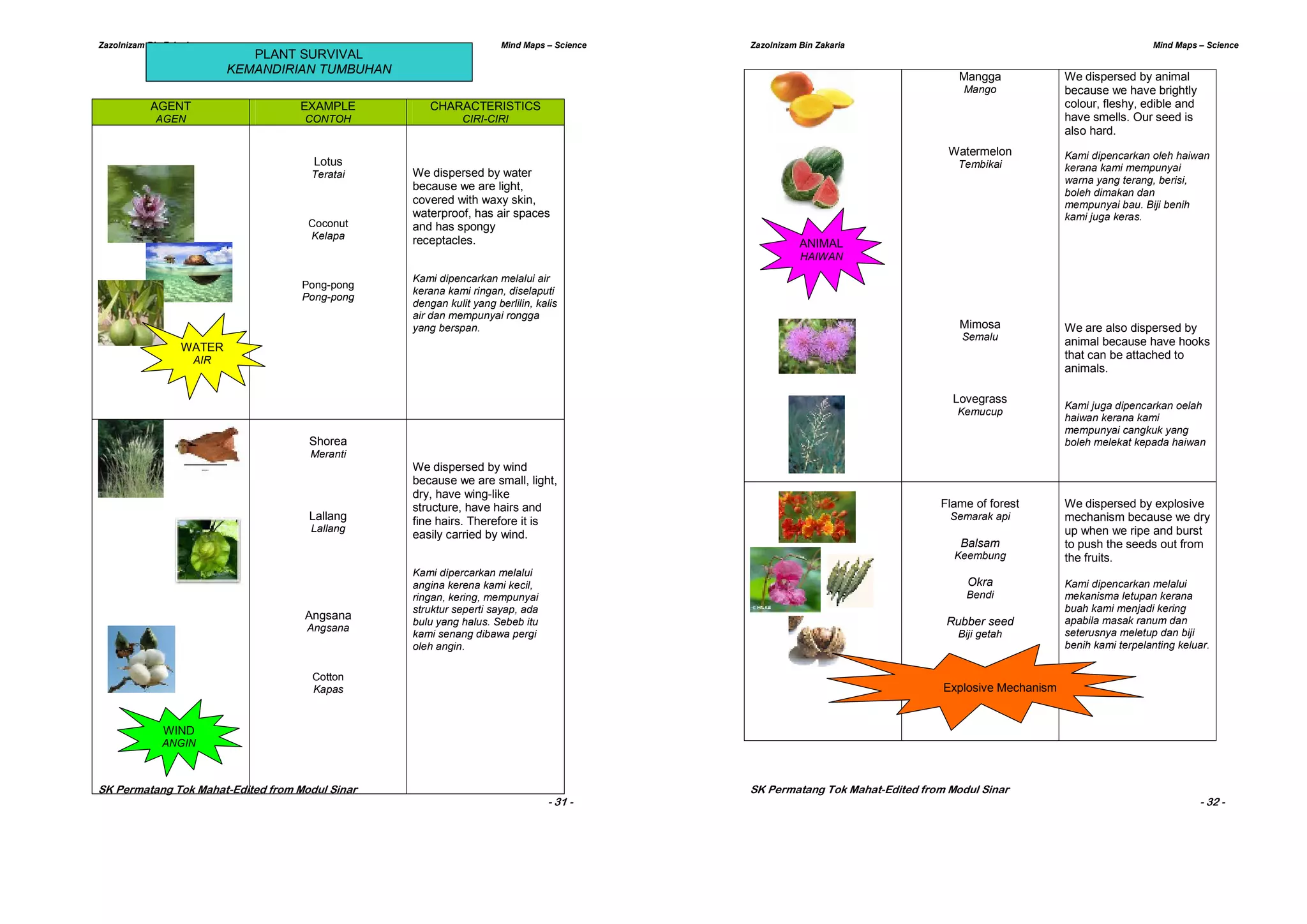 Peta minda sains | PDF