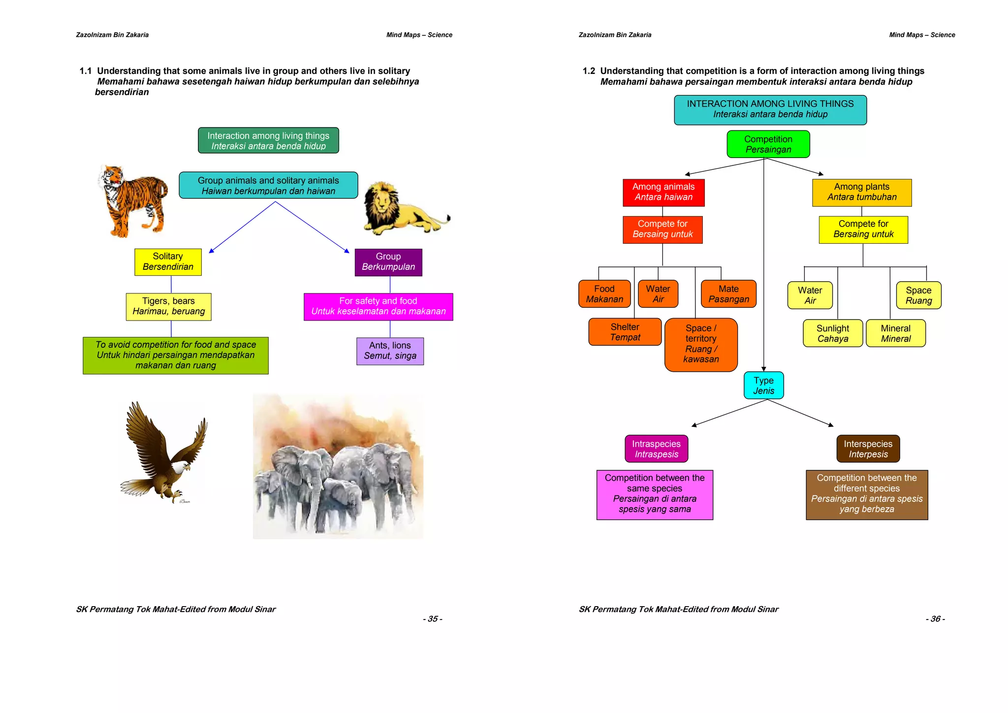 Peta minda sains | PDF