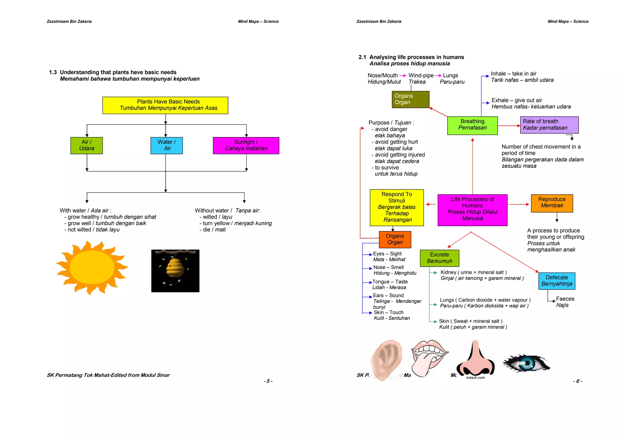 Peta minda sains | PDF