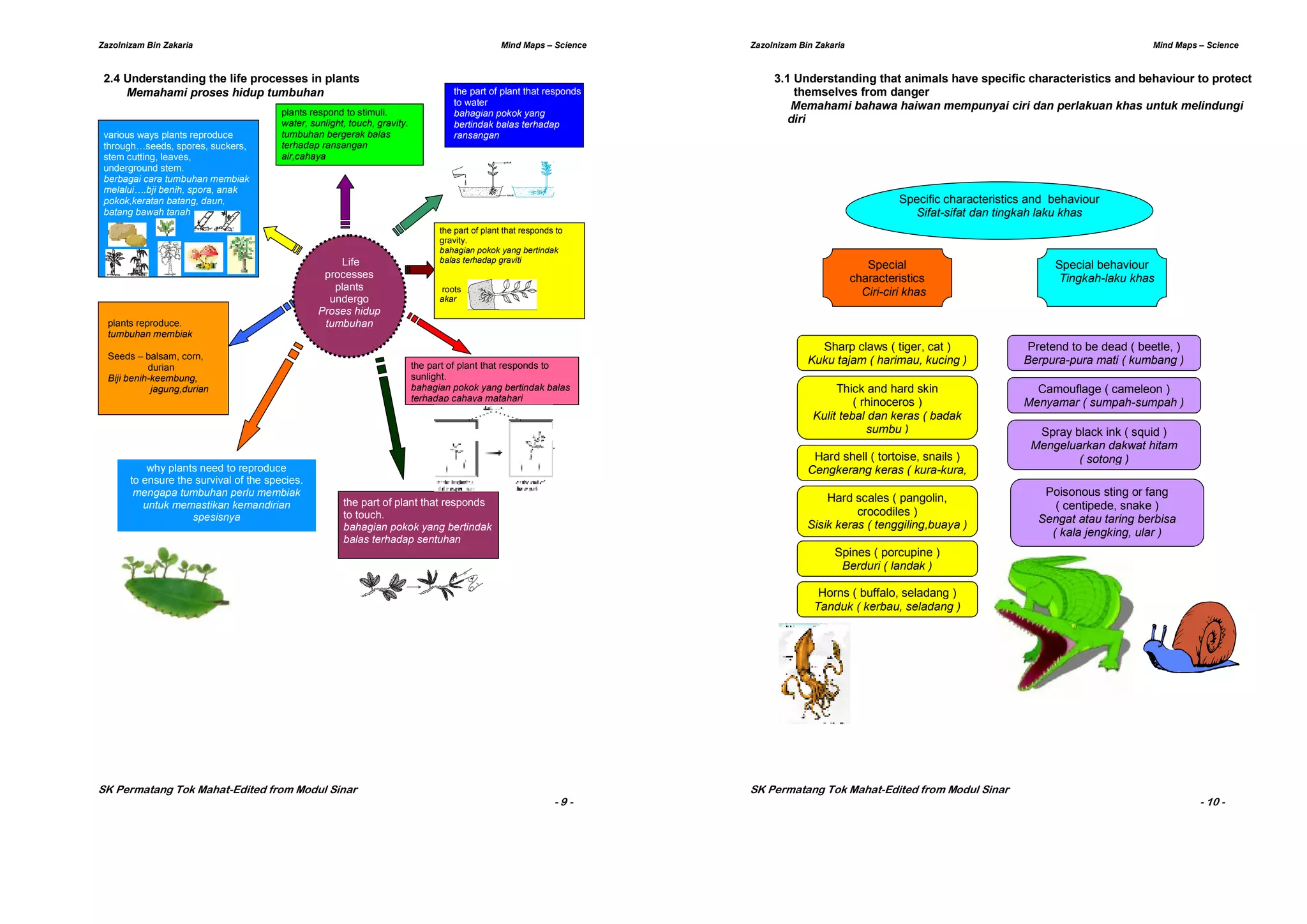 Peta minda sains | PDF