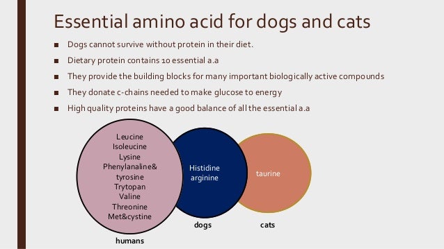 Pet animal nutrition
