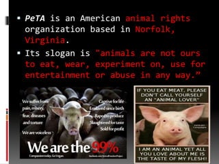 Peta (Controversial Projects) | PPTX