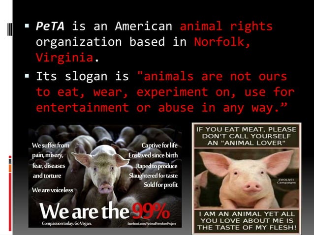 Peta (Controversial Projects) | PPT