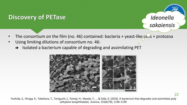 PETase; do not worry about plastic | PPT