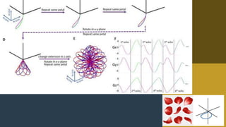 3D UTE 31P-MRSI with modified rosette k-space (PETALUTE): Comparison with conventional weighted ...
