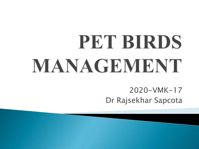 Pet birds management | PPTX