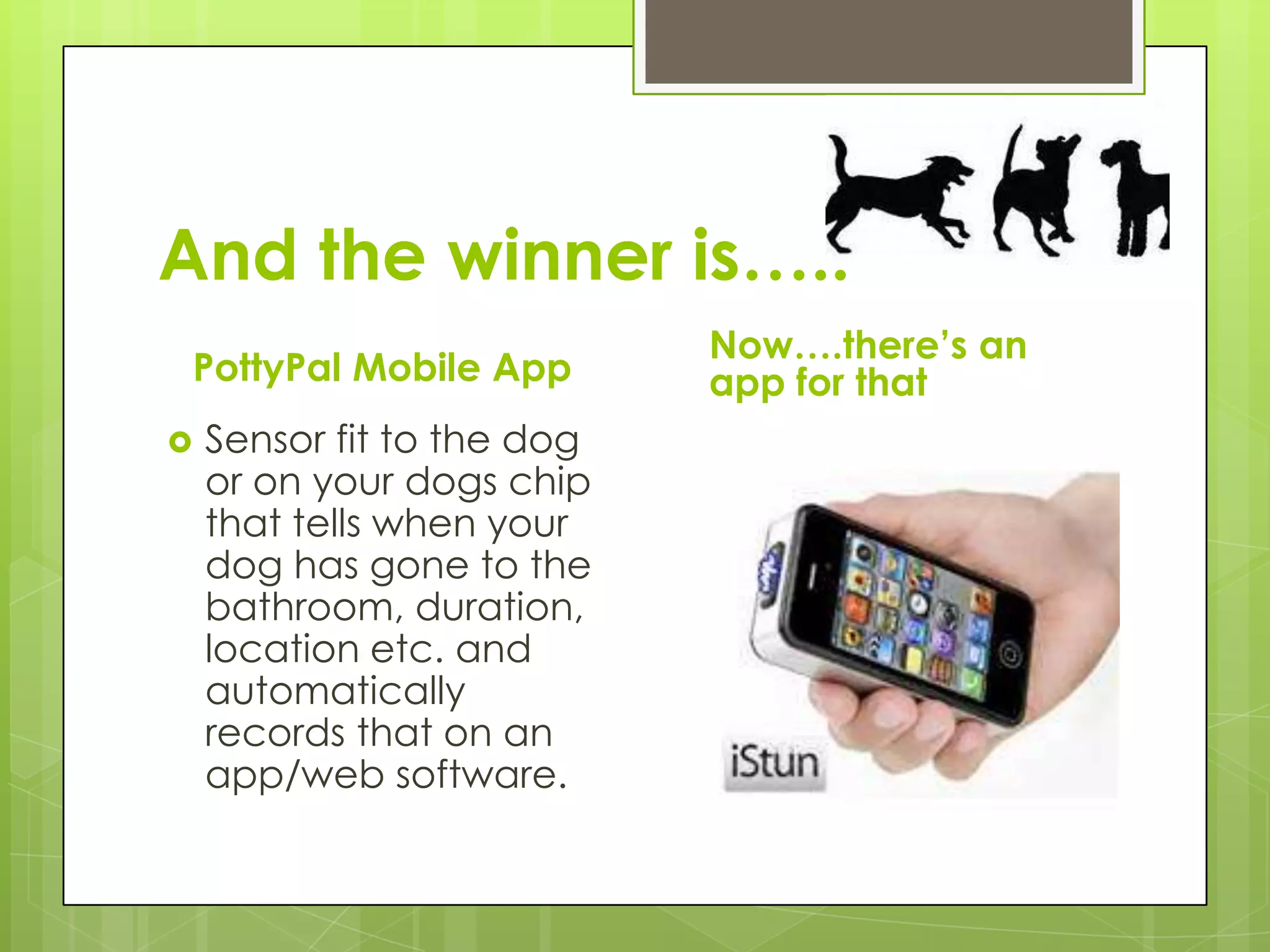Pet challenge assumptions | PPT