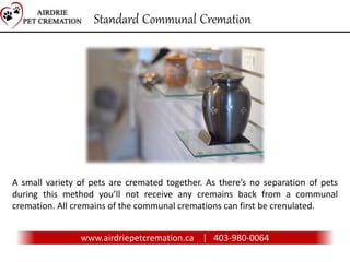 CREMATION SERVICES | PPT