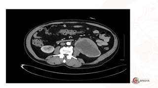PET CT beginners Guide covers some of the underrepresented topics in ...