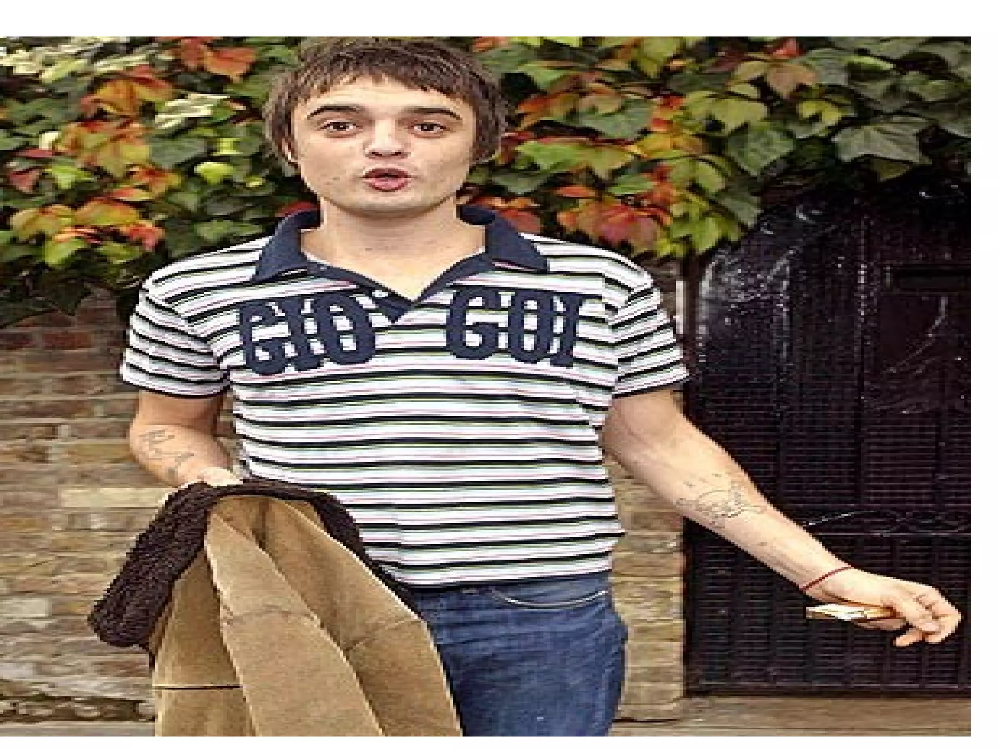Pete Doherty | PPT