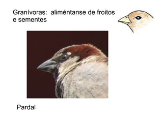 Peteiros das aves | PPSX