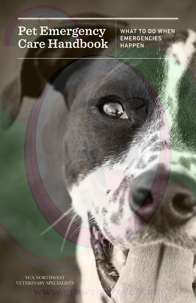 Pet Emergency Care Handbook | PDF