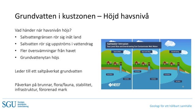 Peter Dahlqvist-Grundvatten-i-kustzonen | PPT