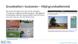 Peter Dahlqvist-Grundvatten-i-kustzonen | PDF