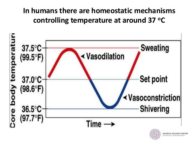 Peter Shepherd Thermoregulation