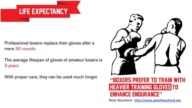 Peter Bouchard - Anatomy of a Boxing Glove | PPT