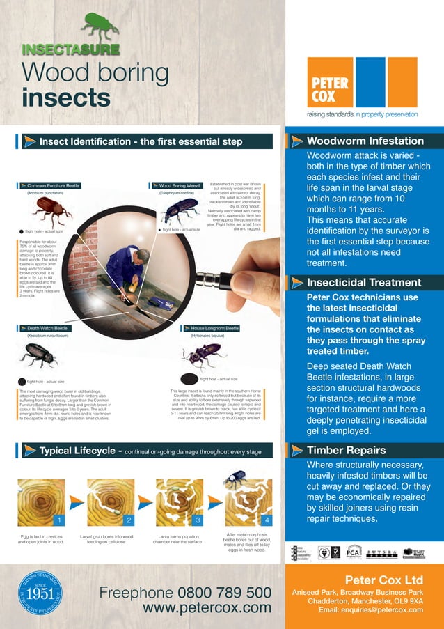 Peter Cox - Insectasure Woodworm Treatment | PDF