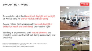 Impact of light on human well-being and productivity | PPTX