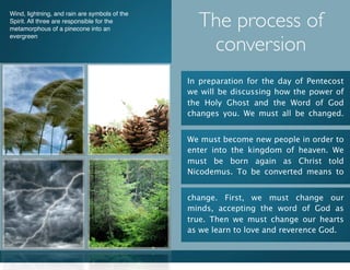 Peter how the Holy Spirit changes you | PPT