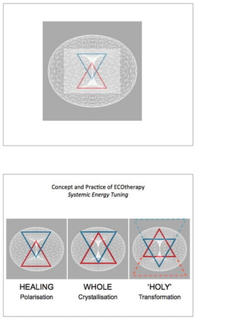 Peter Merry Volution | PDF