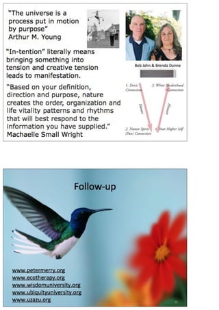 Peter Merry Volution | PDF