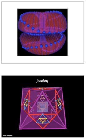 Peter Merry Volution | PDF