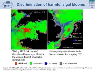 Dr Peter Miller, Plymouth Marine Laboratory - ShellEye: Satellite-based ...