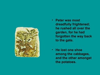 Peter Rabbit | PPT