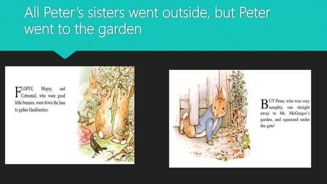 Peter rabbit | PPTX