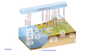 The terrestrial carbon cycle | PPT