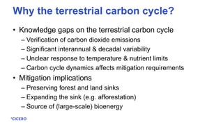 The terrestrial carbon cycle | PPTX
