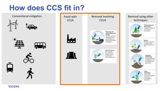 Do we really need Carbon Capture & Storage? | PPT