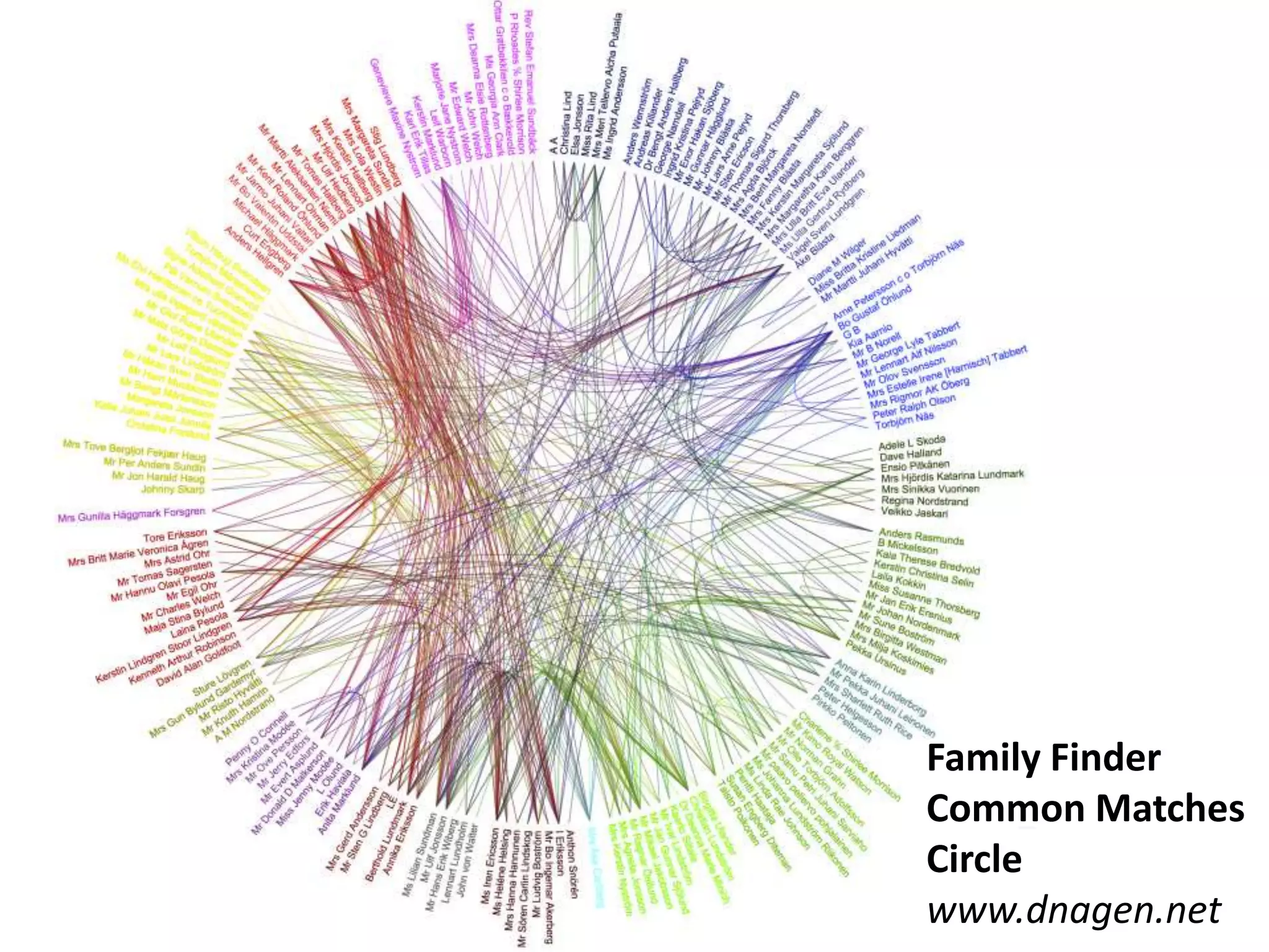 YDNA maps Scandinavian Family Trees from Medieval Times and the Viking ...