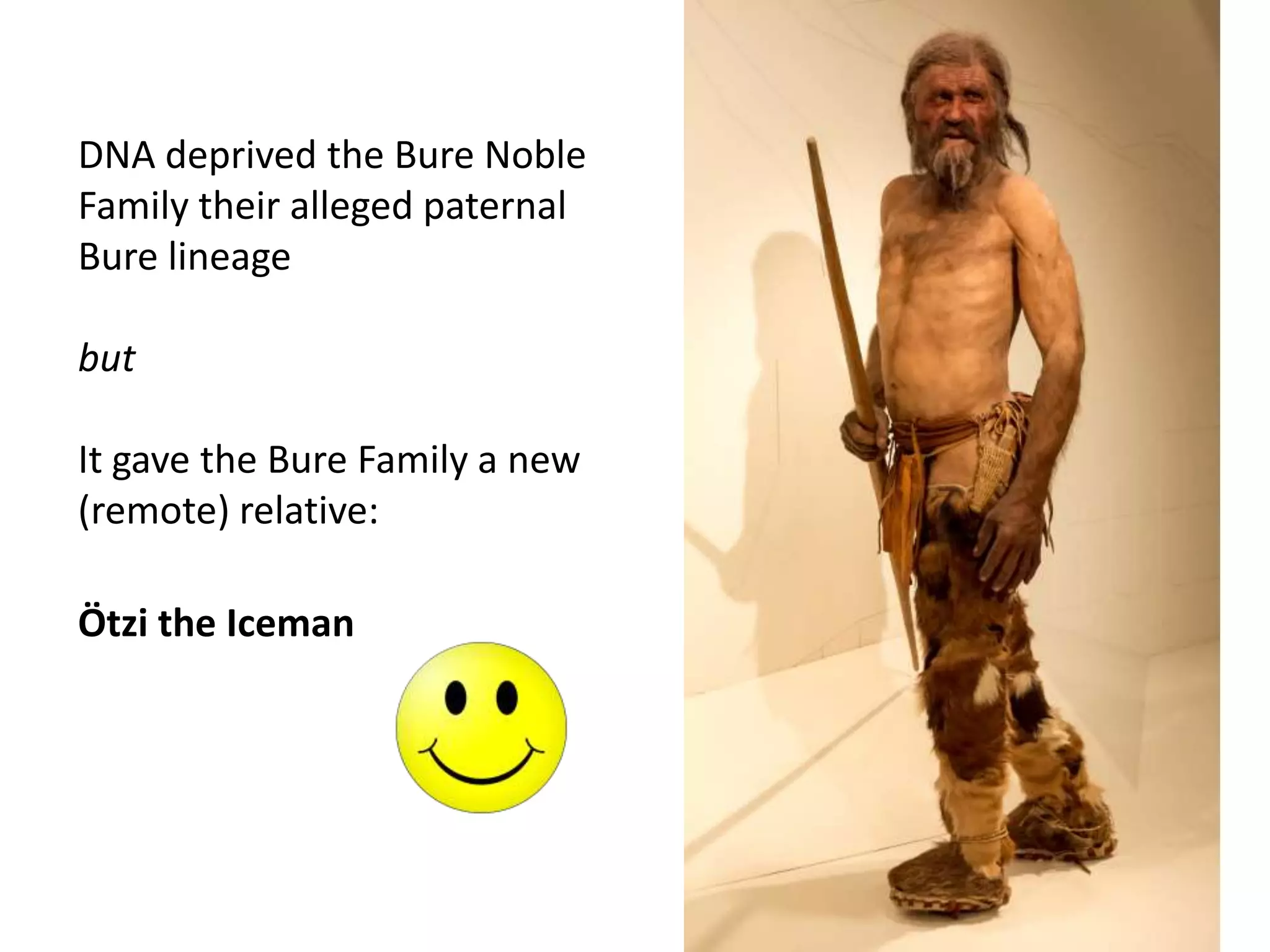 YDNA maps Scandinavian Family Trees from Medieval Times and the Viking ...