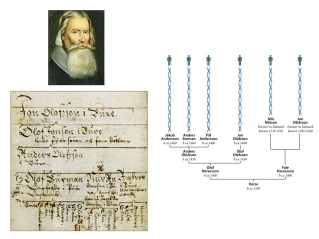 YDNA maps Scandinavian Family Trees from Medieval Times and the Viking ...