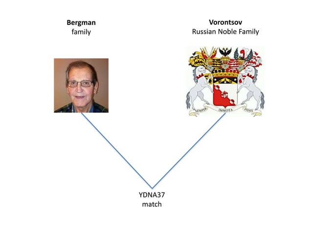 YDNA maps Scandinavian Family Trees from Medieval Times and the Viking ...