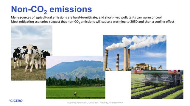 What does net-zero emissions mean?