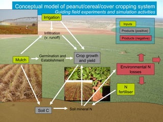 Can Australia’s peanut value chains transform to adapt to future ...