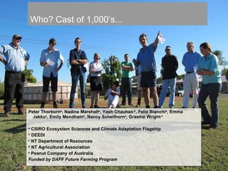 Can Australia's peanut value chains transform to adapt to future ...