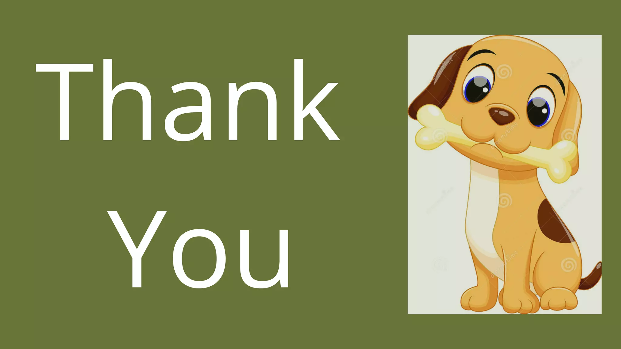 Pet eye health | PDF