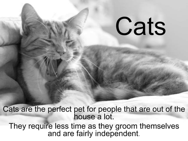 Pet facts from the RSPCA | PPTX | Dogs | Pets