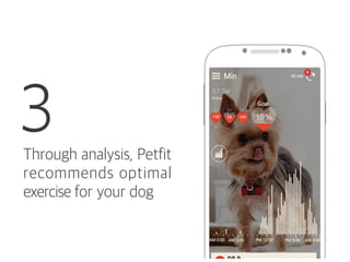 Petfit introduction(eng) | PPT