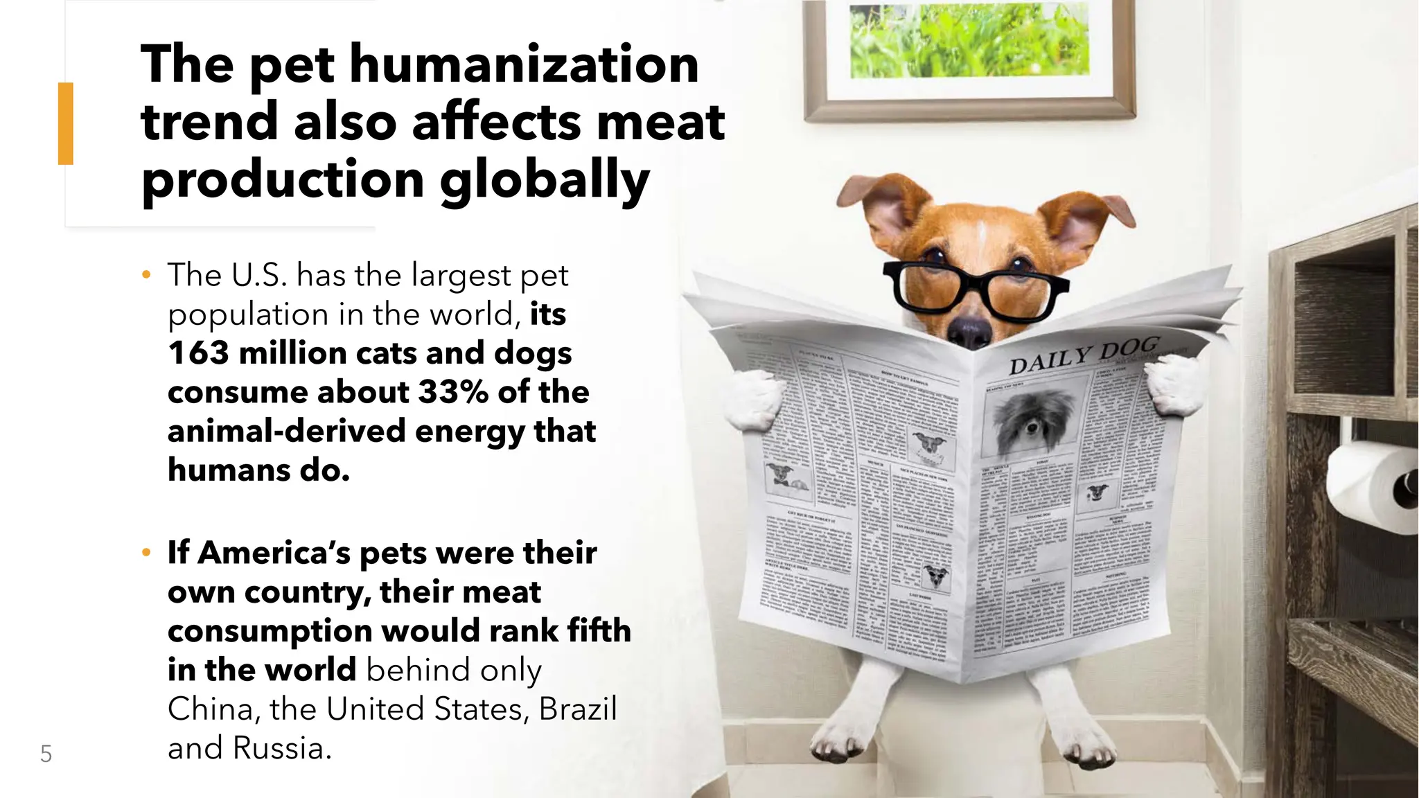 Pet Food Humanization 2022 - Pushing quality and integrating human ...
