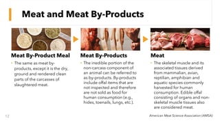 Pet Food Humanization 2022 - Pushing quality and integrating human ...